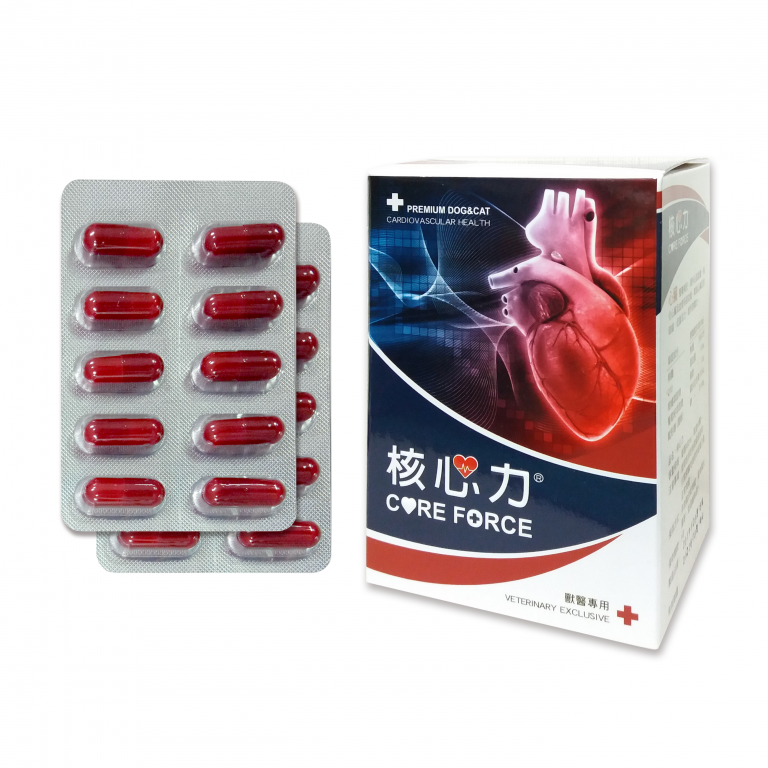 核心力CORE FORCE – 健聖興業