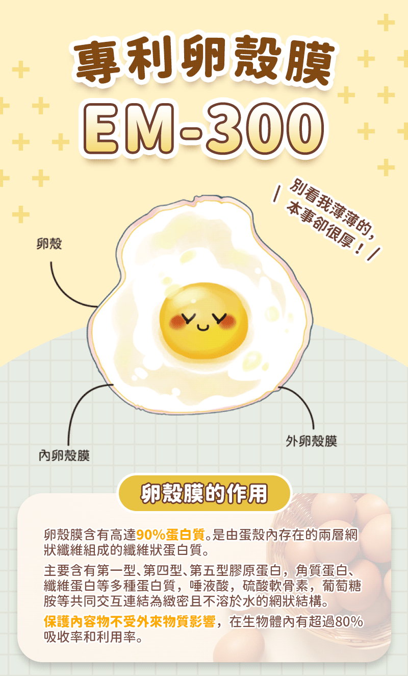 Egg Shield 卵護罩 – 免疫養護｜抵抗自由基，提升免疫力｜健聖興業 – 健聖興業